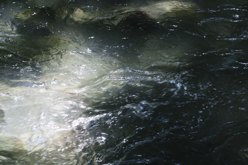 river01 | Tokyo Days Magazine